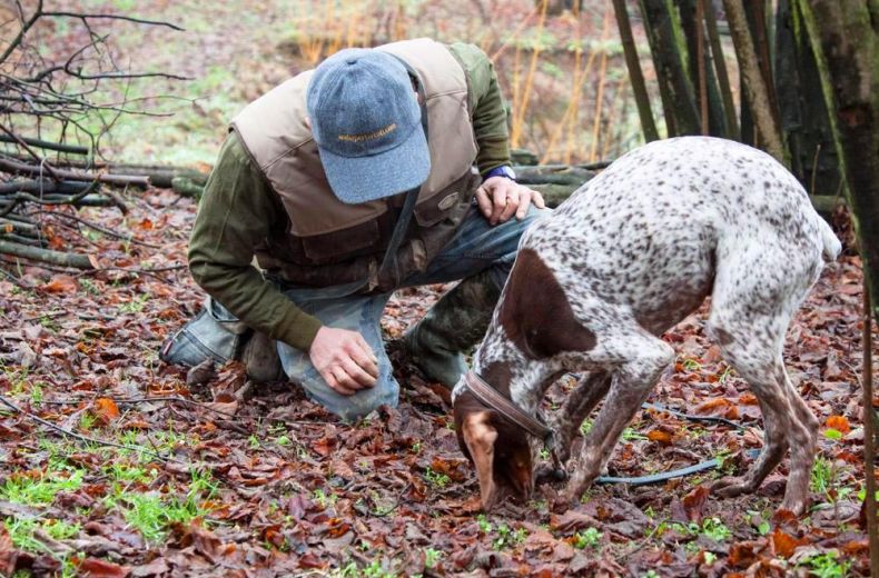 Alba Truffle Tour – PIEMONTE